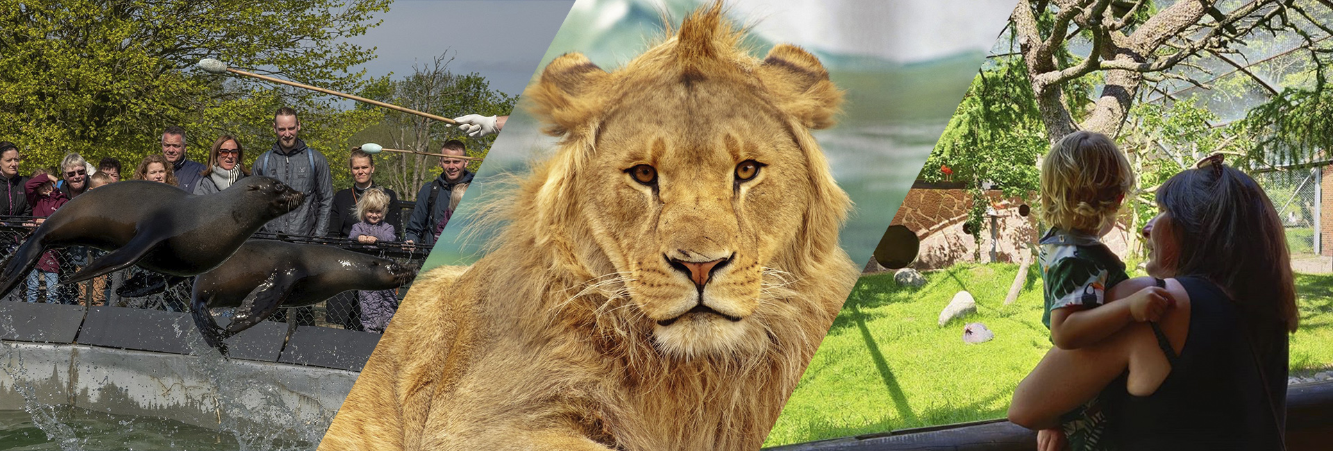 Jyllands Park Zoo | Danmarks hyggeligste zoo | Besøg os